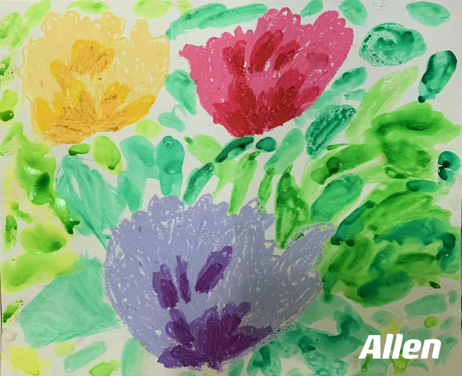 Allen Zhang’s Portfolio – VIP Teaching